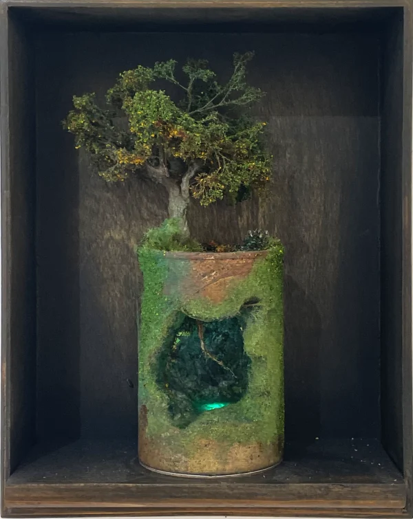 Cave in a Can:2 of 6 Root hanging down | Ben Irwin